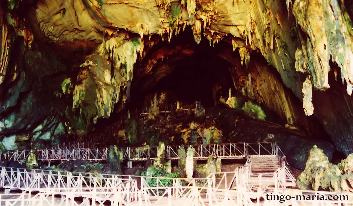 La Cueva de las Lechuzas en Tingo María - Descubraperu